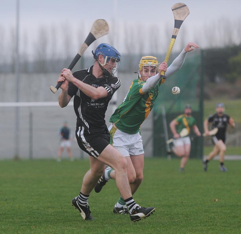 Knockainey claim Limerick County Cup title following Ahane win - Photo ...