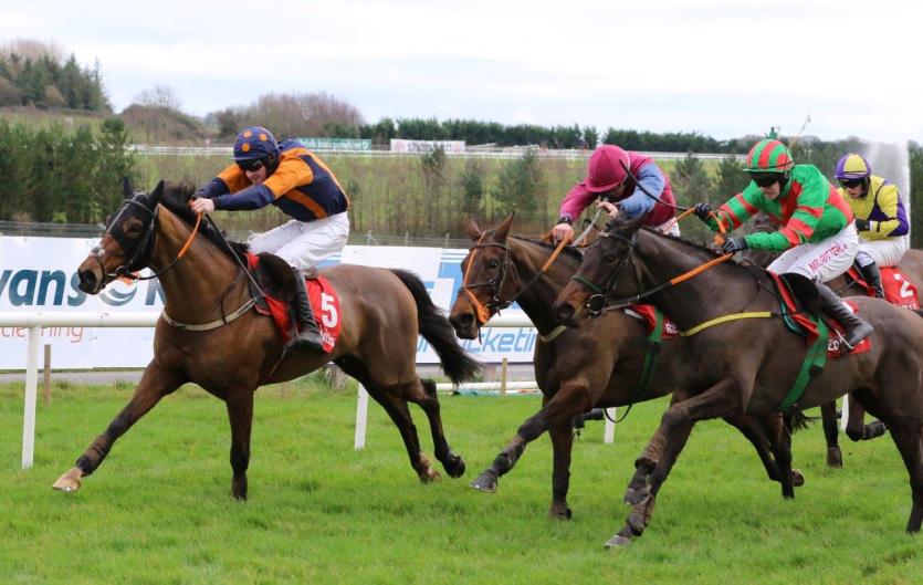 SLIDESHOW: Ladies Day at Limerick Races a hit for Festival goers ...