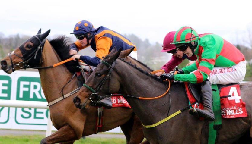 SLIDESHOW: Ladies Day at Limerick Races a hit for Festival goers ...