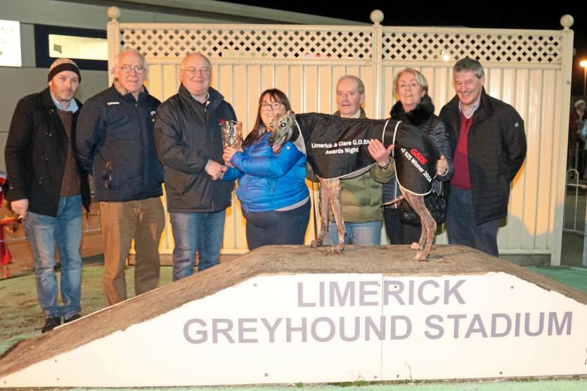 SLIDESHOW: Limerick and Clare Greyhounds owners awards night - Photo 1 ...