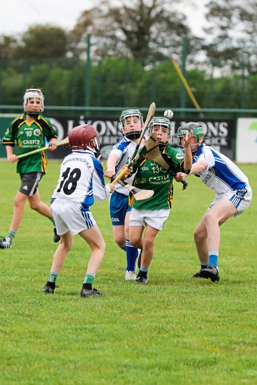 SLIDESHOW: Lisnagry NS crowned Limerick Leader Cup champions for a ...