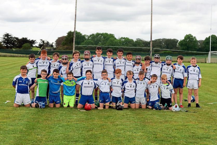 SLIDESHOW: Lisnagry NS crowned Limerick Leader Cup champions for a ...