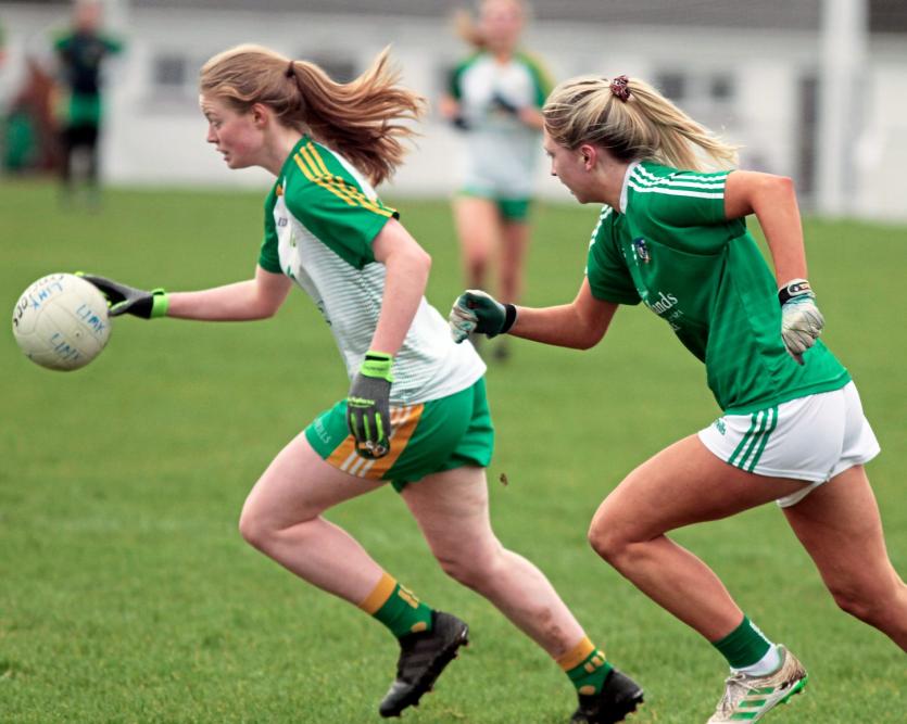 SLIDESHOW: Limerick and Offaly share the spoils in Ladies football ...