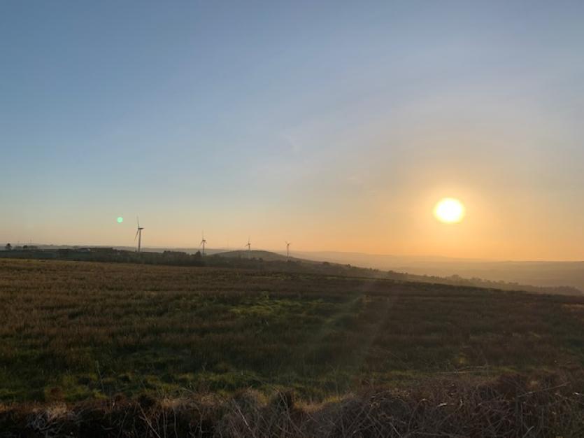 SLIDESHOW: Limerick Leader '2km Challenge' shows off talent and beauty ...