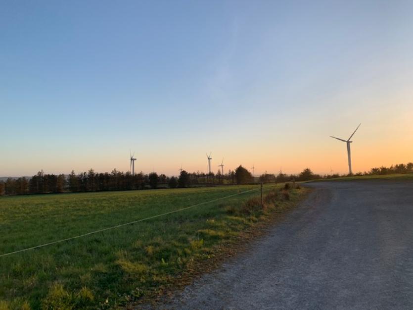 SLIDESHOW: Limerick Leader '2km Challenge' shows off talent and beauty ...