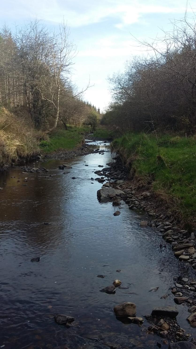 SLIDESHOW: Limerick Leader '2km Challenge' shows off talent and beauty ...