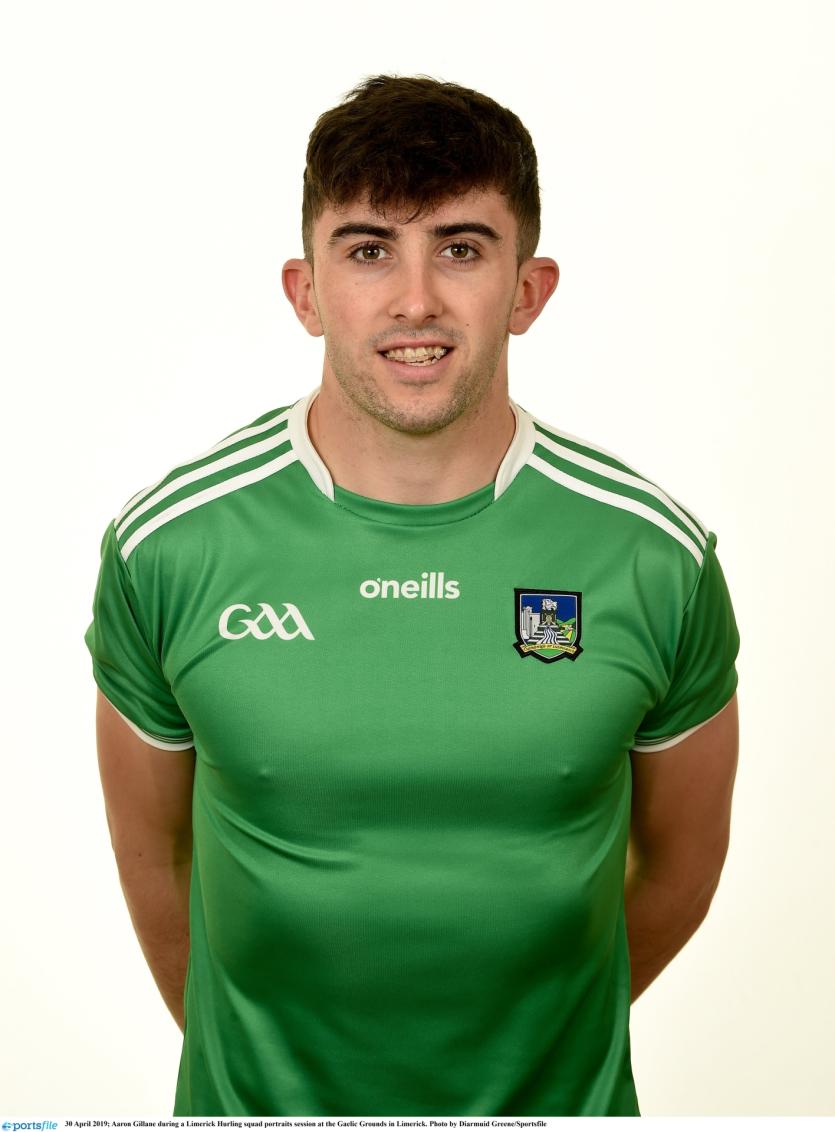 REVEALED: Limerick Leader Hurling Team of the Decade 2010-2020 - Photo ...