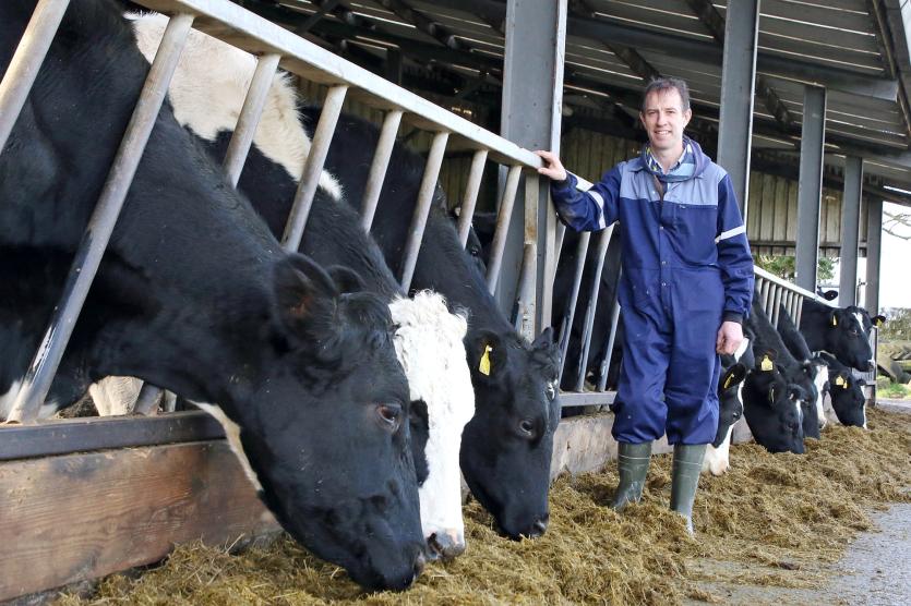 Limerick farmer Ger Murnane on how Munster Bovine has helped his farm ...