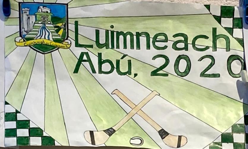 SLIDESHOW: Limerick fans show their colours ahead of All-Ireland this ...
