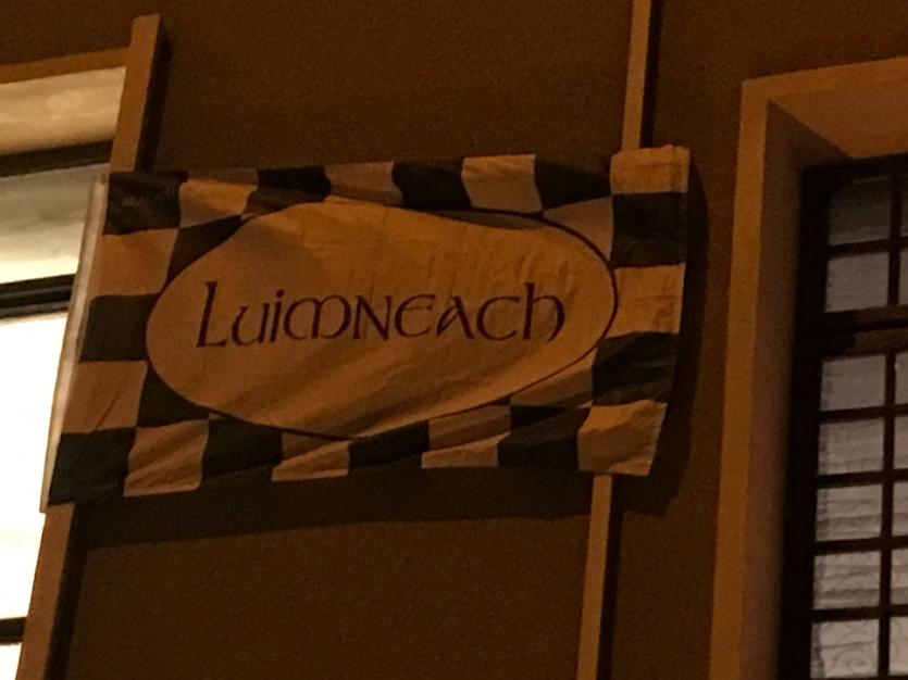 SLIDESHOW: Limerick fans show their colours ahead of All-Ireland this ...