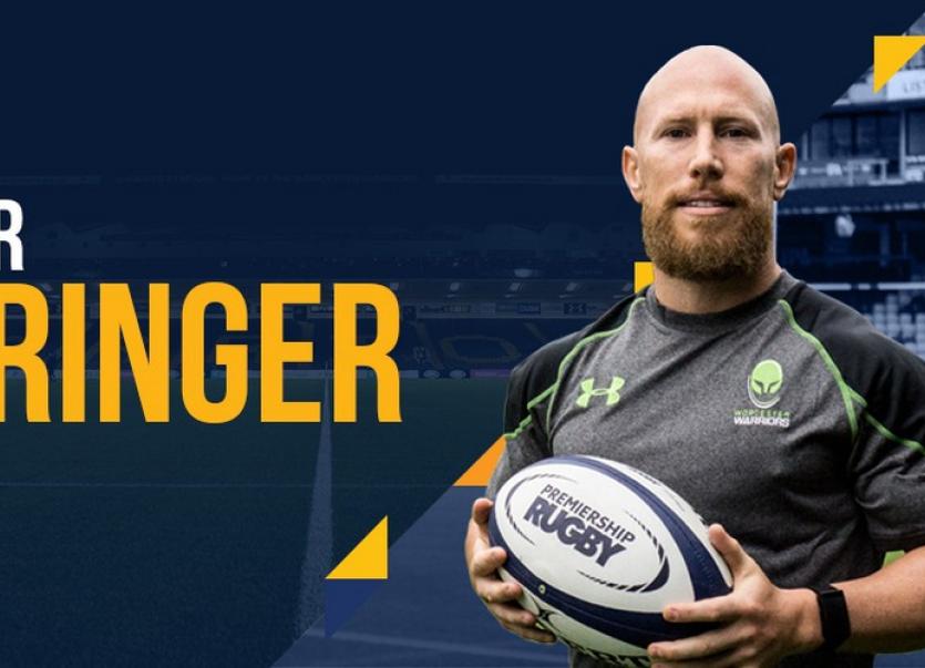 Former Munster Rugby star Peter Stringer signs for Worcester - Limerick ...