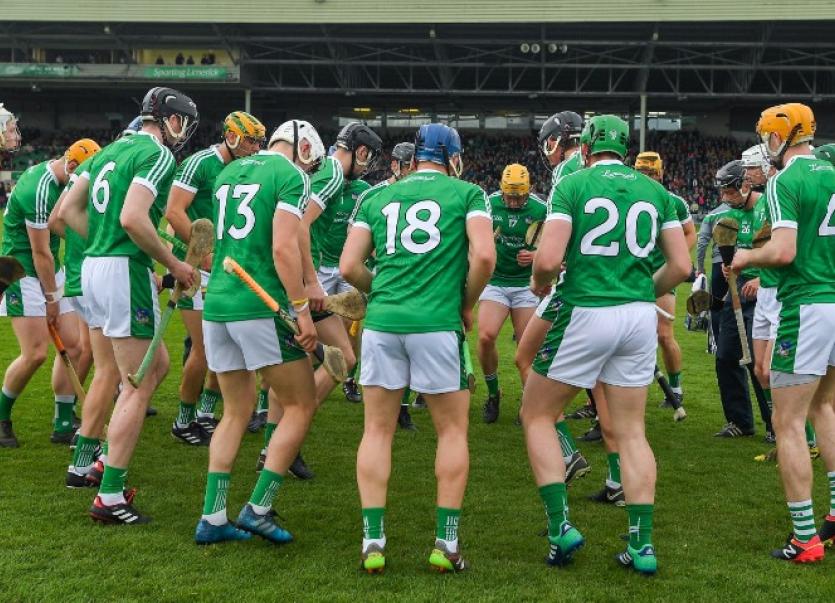 42-man Limerick hurling panel for 2019 includes seven newcomers ...