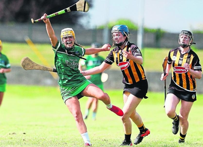 Limerick GAA confirm a hurling and camogie league double-header for the ...