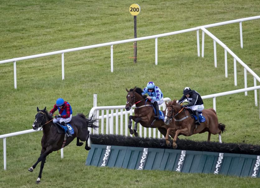 Horse Racing Ireland: Limerick's Lee and Landers lead the way ...