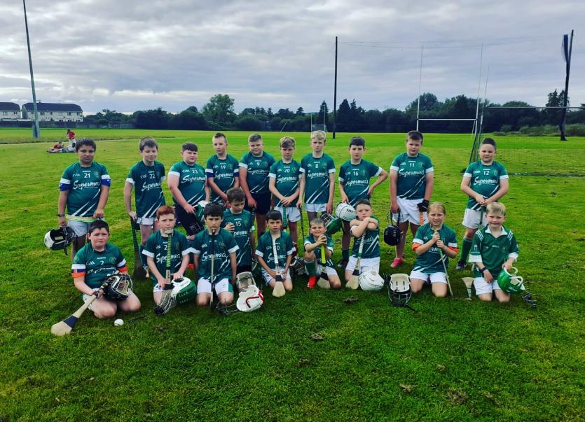 Limerick GAA notes - latest news from 24 different clubs - Limerick Leader