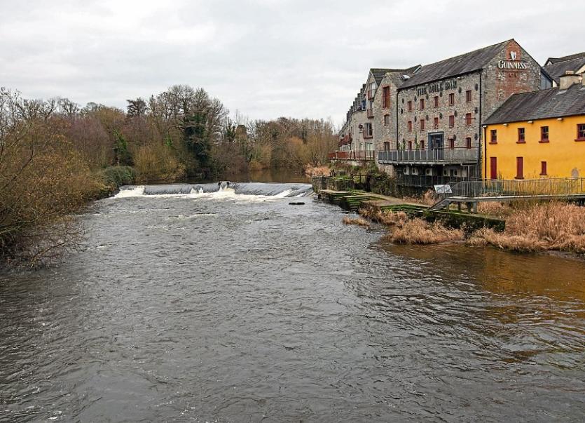 Residents in Limerick village ‘terrified’ after window smashing appears ...