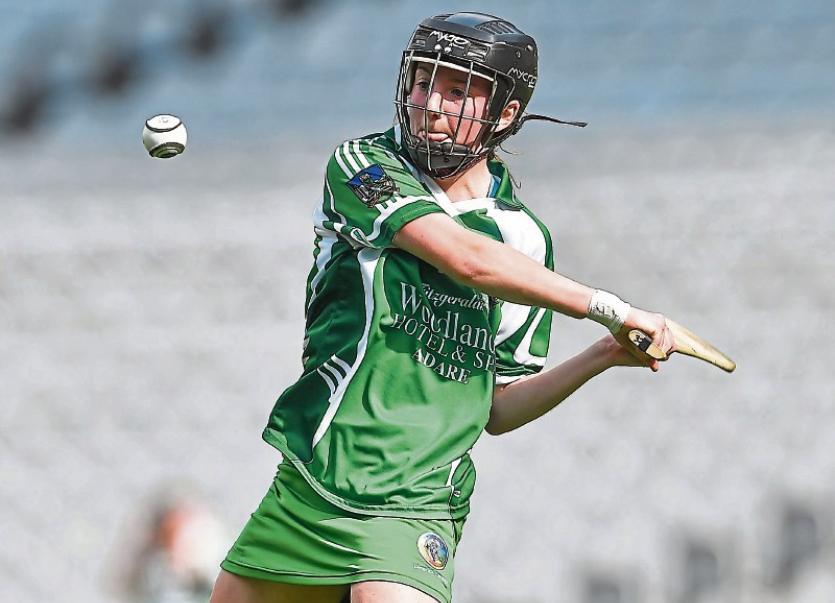 Limerick's Camogie league commences with trip to Offaly - Limerick Leader