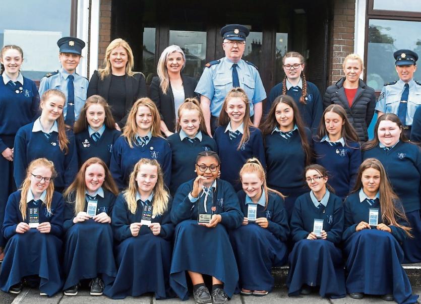 ‘Keep it PG’ –Sexting campaign wins national award for Limerick ...