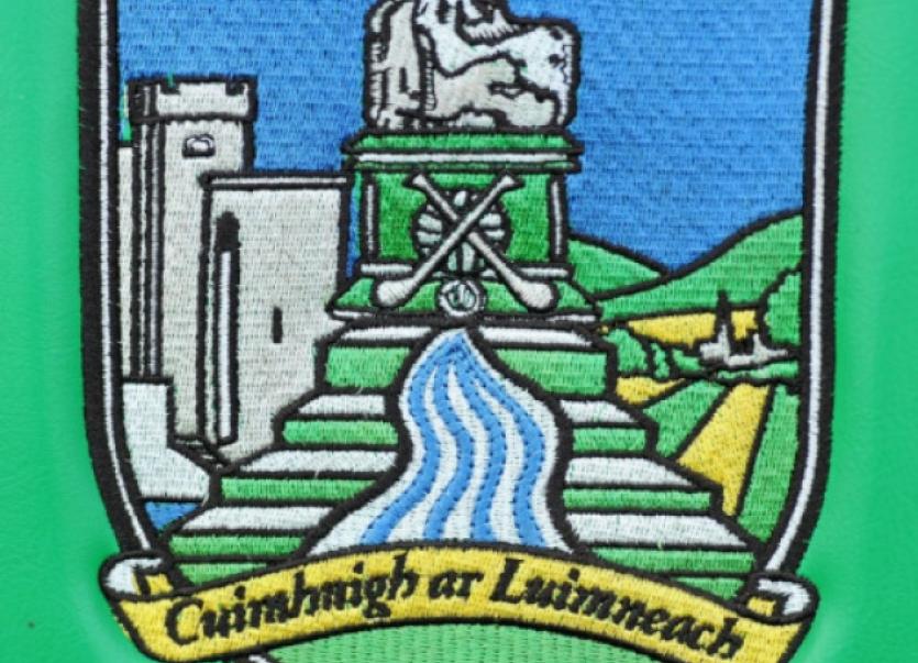 Limerick GAA Fixtures, March 29-April 3 - Limerick Leader