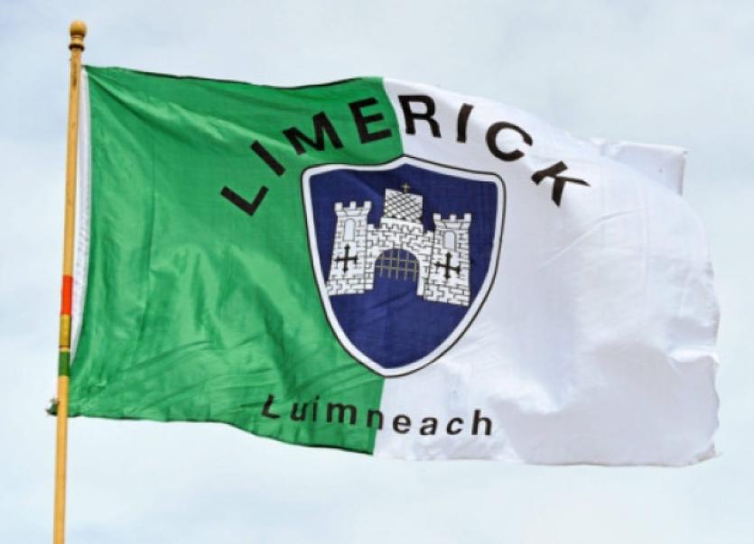 Limerick GAA Club Notes, March 30 - Limerick Leader