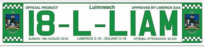 Official ‘18-Limerick’ number plate to donate proceeds to development ...