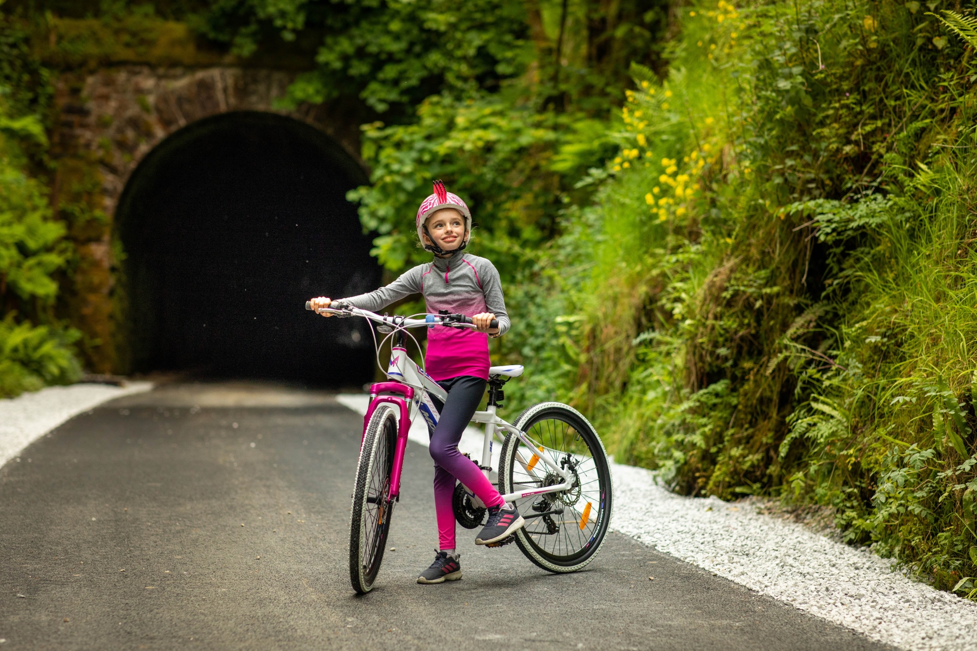 'Transformative' Limerick Greenway opens to the public following ...