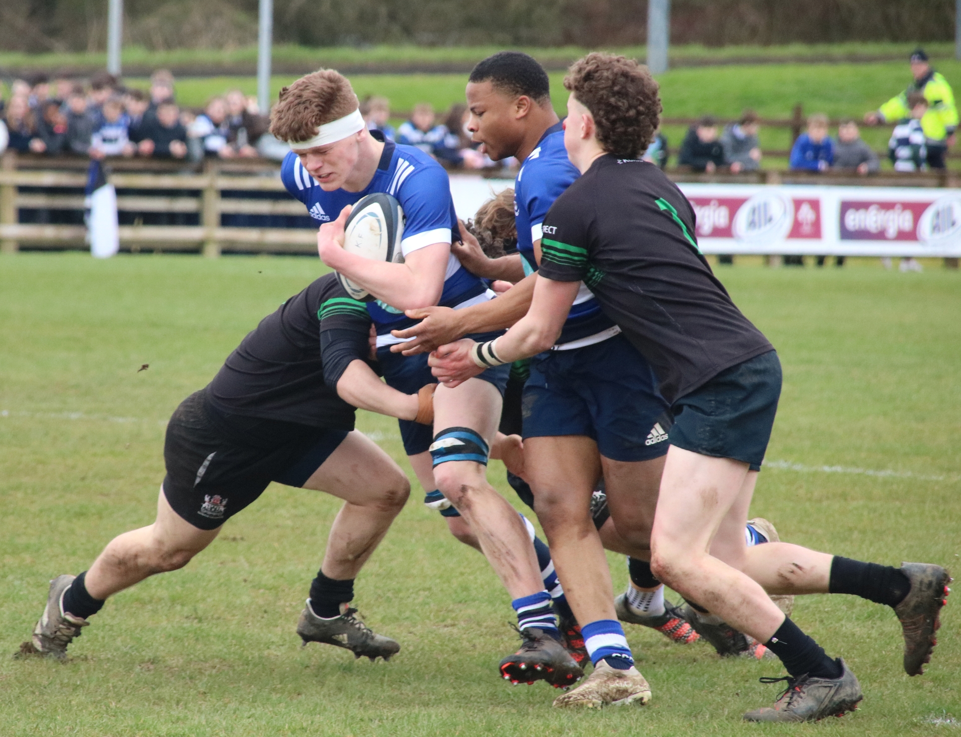 In Pictures: Limerick's Crescent Comprehensive secure Senior Cup rugby ...