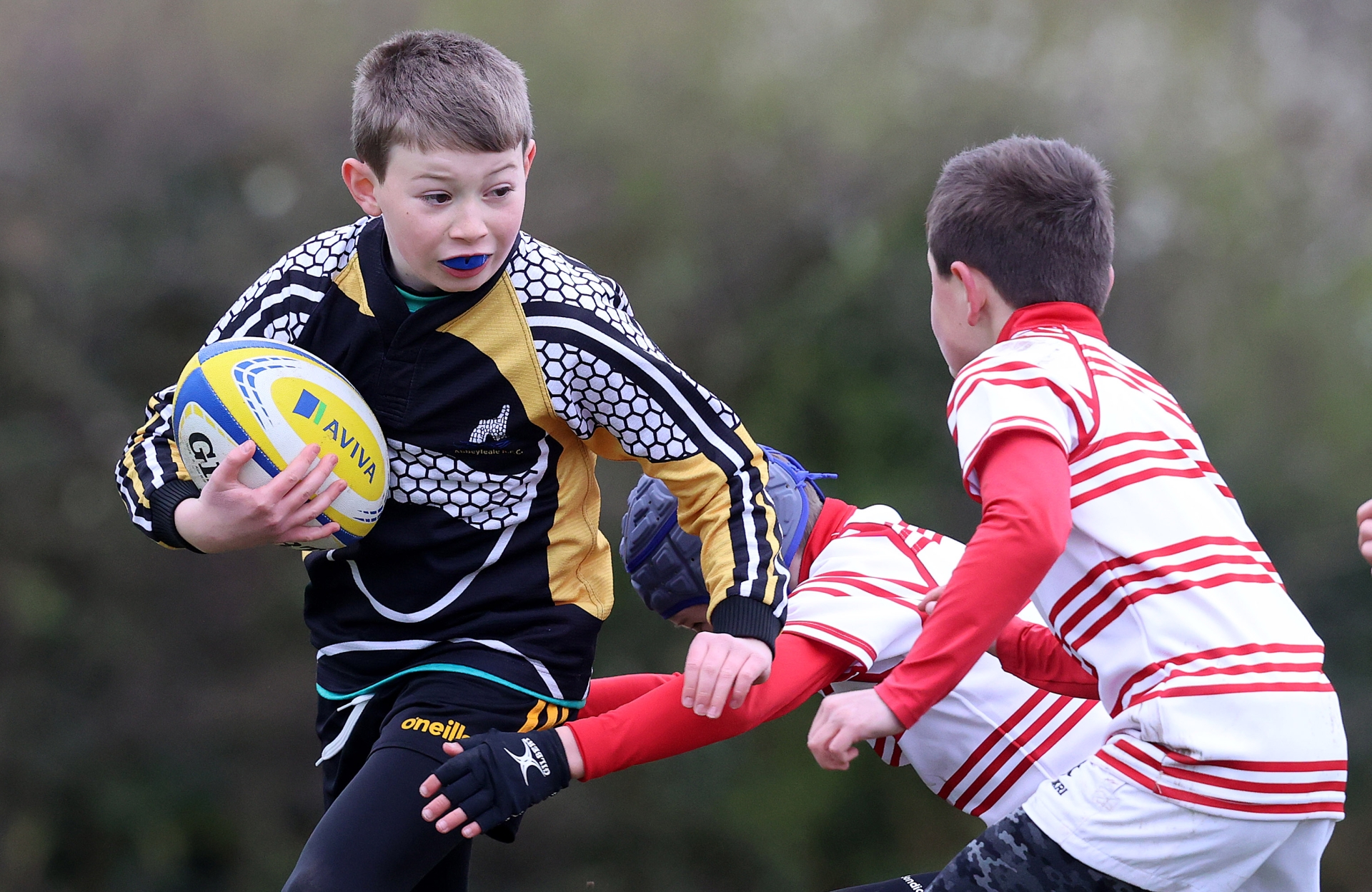 In Pictures: Budding Limerick rugby players showcase talents at Aviva ...