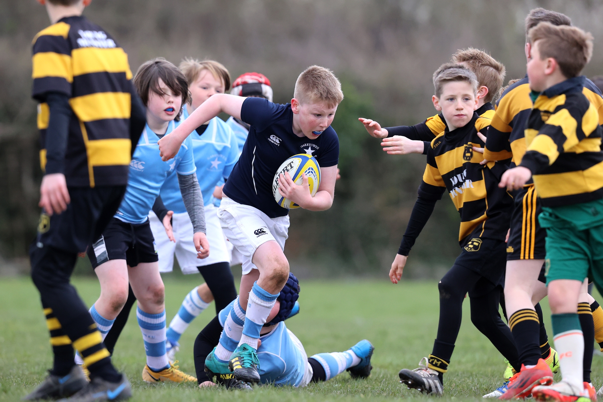 In Pictures: Budding Limerick rugby players showcase talents at Aviva ...