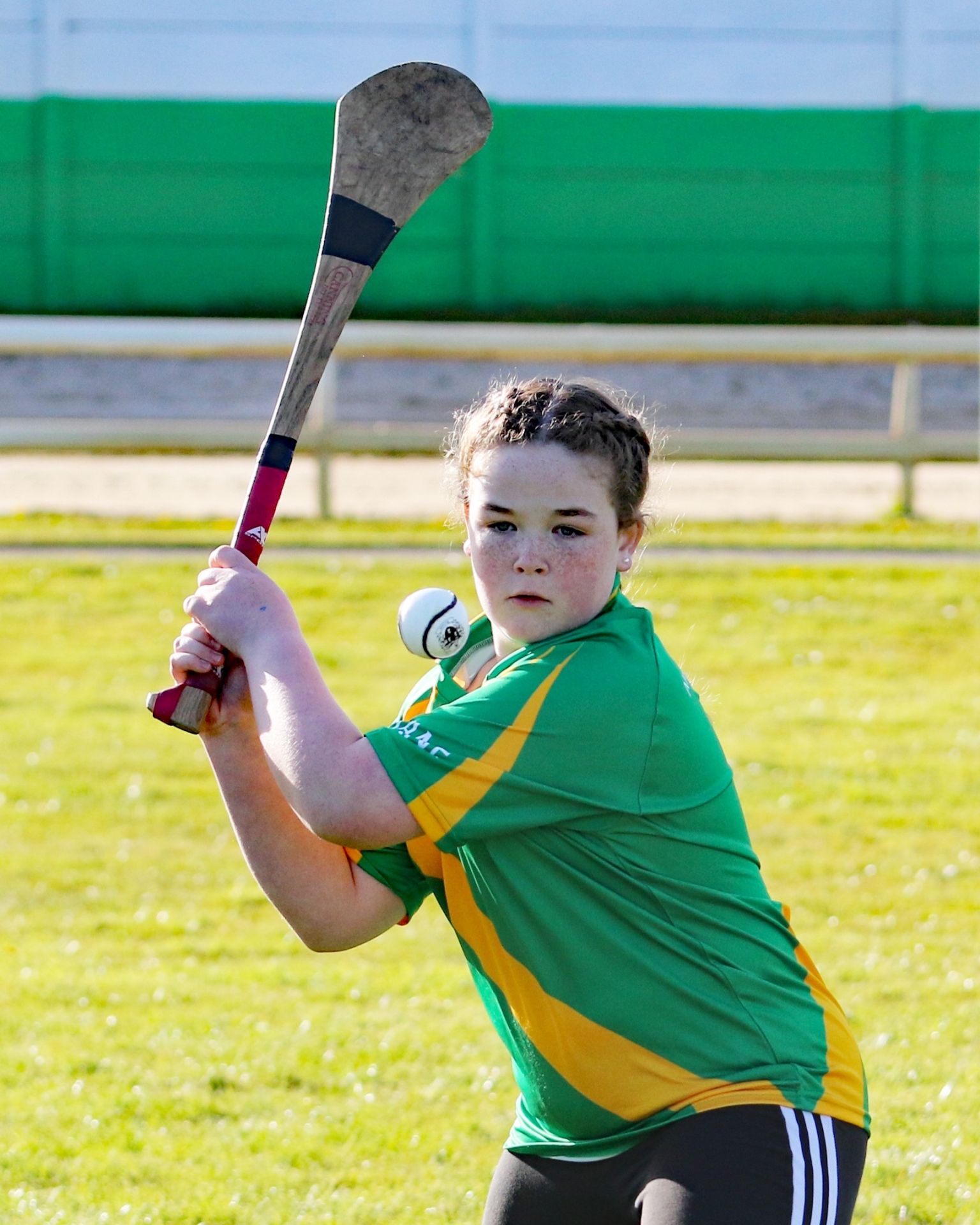 In Pictures: Limerick GAA host Poc Fada and Cic Fada finals in Limerick ...