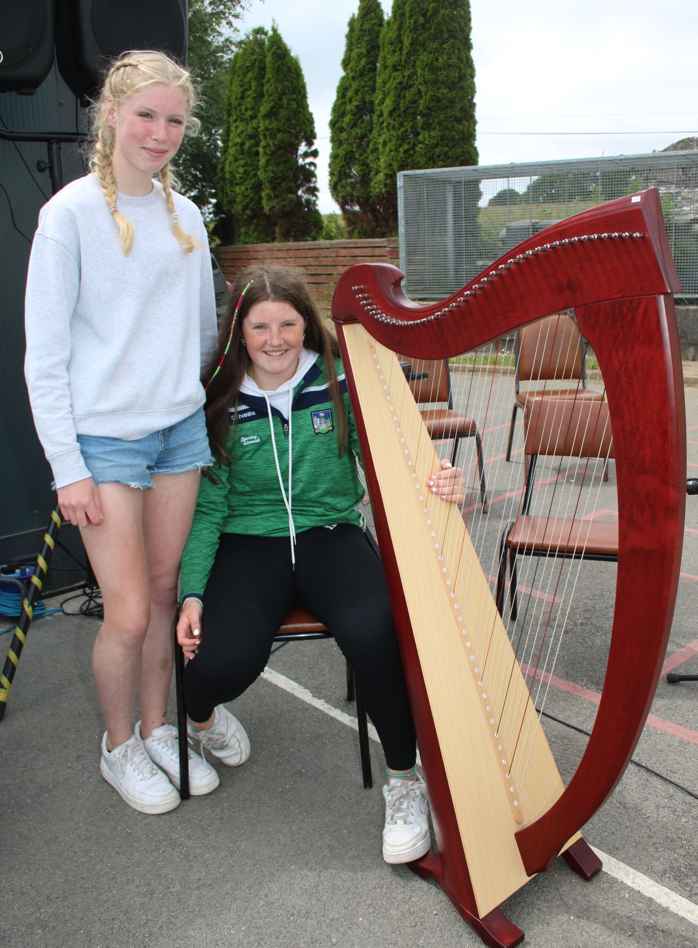 In Pictures: Craic, ceoil and hurling as Limerick school hosts Irish ...