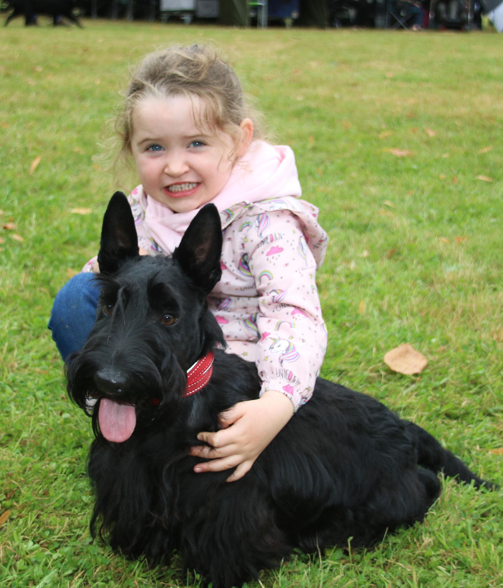 In Pictures: 30 photos from Limerick & District Canine Club's All Breed ...