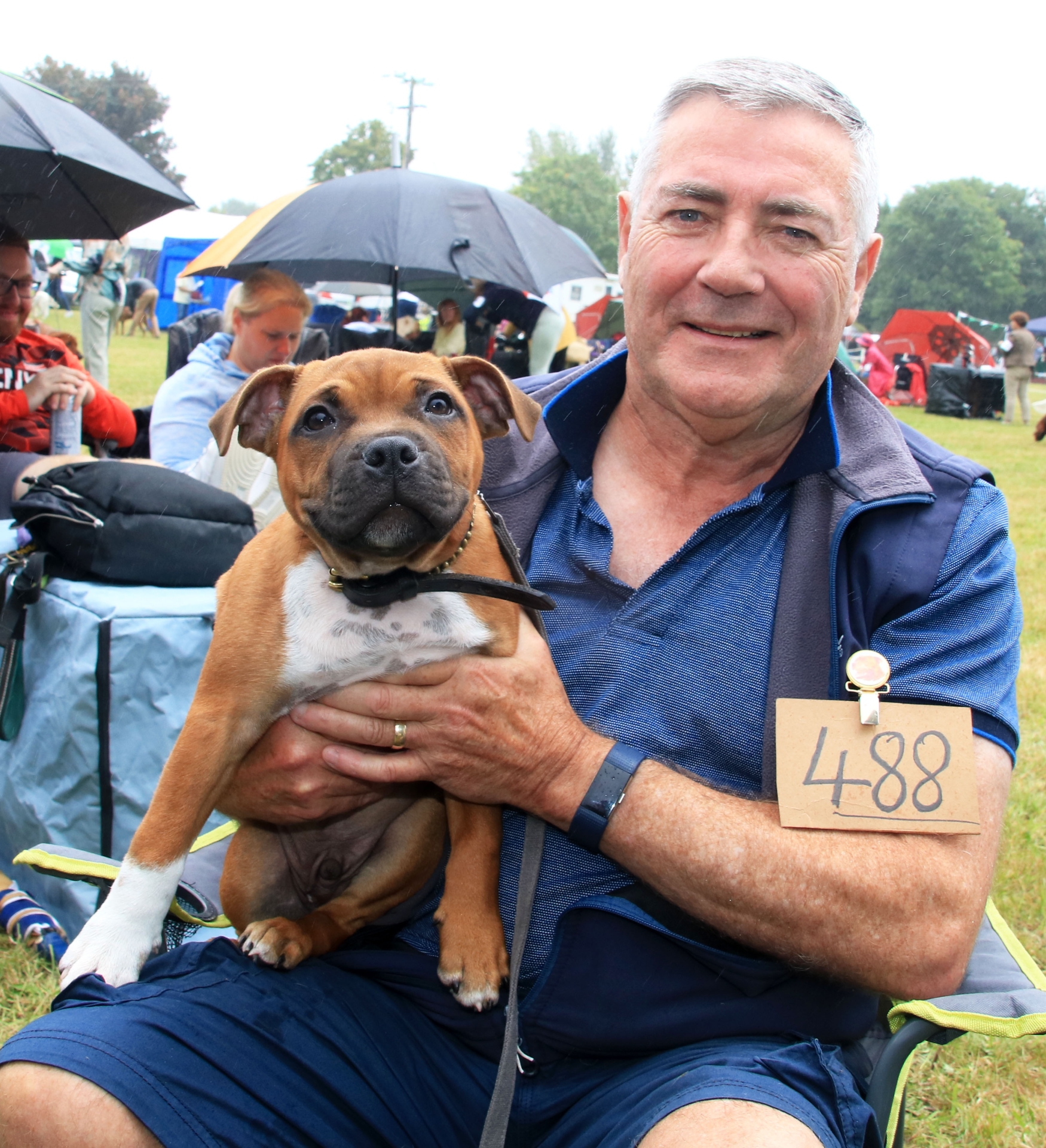 In Pictures: 30 photos from Limerick & District Canine Club's All Breed ...