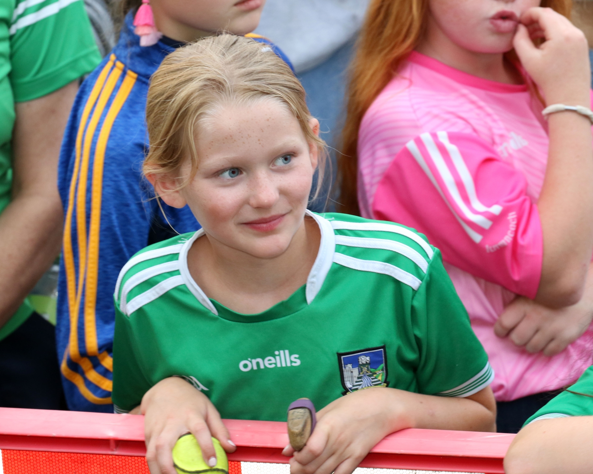 In Pictures: Patrickswell GAA club honours their All-Ireland hurling ...