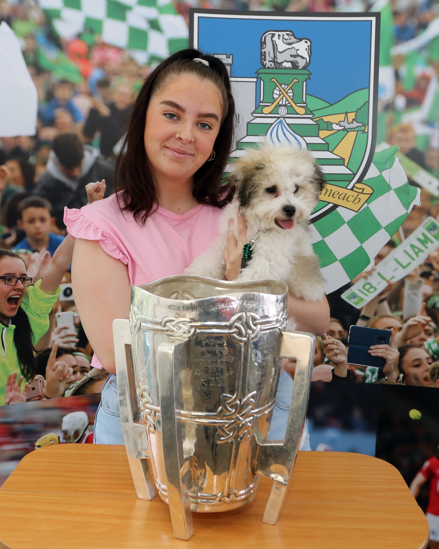 In Pictures: 30 photos from the 2022 Limerick Show - Page 12 of 30 - Limerick Live