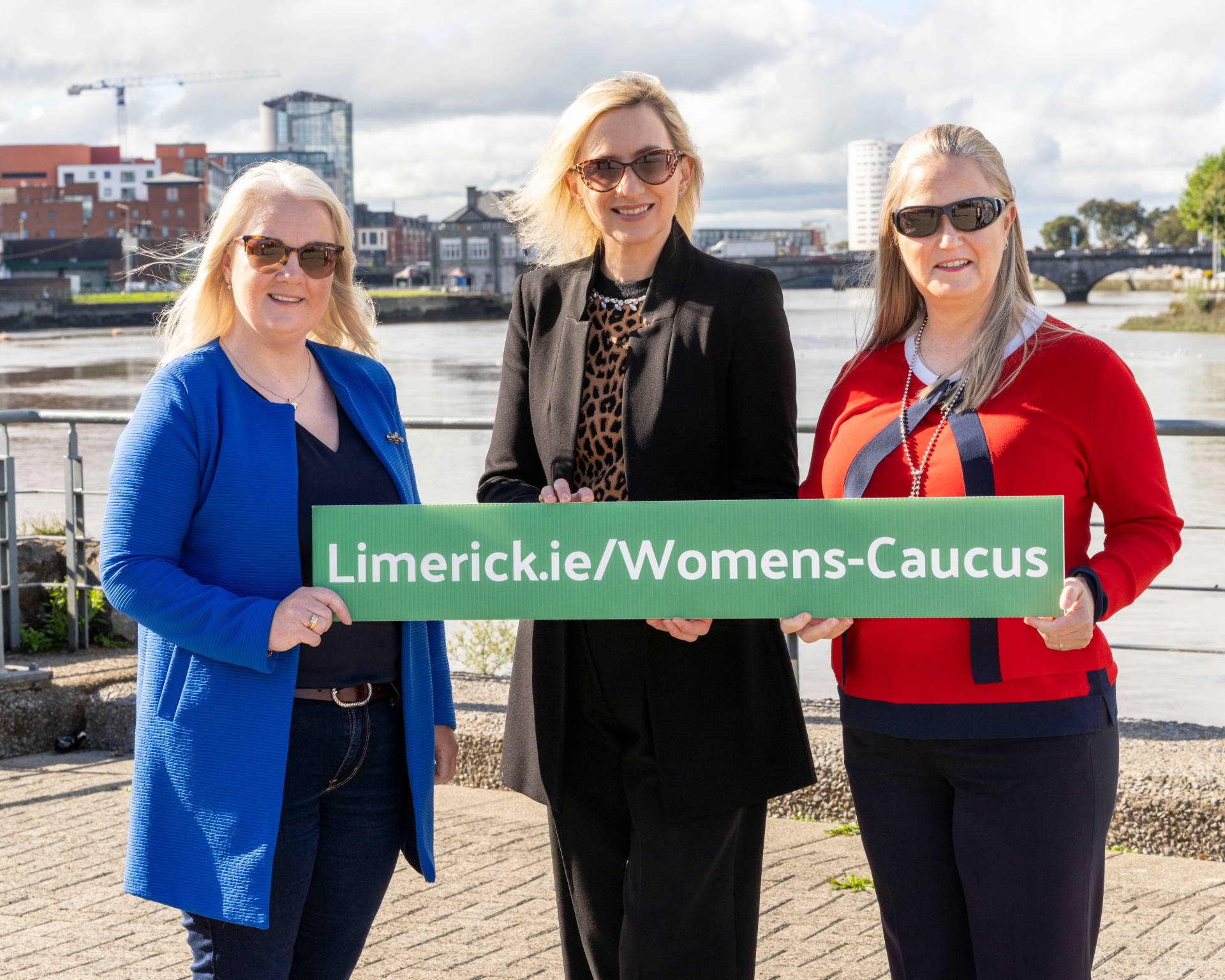 Limerick Women's Caucus launched to encourage women to participate in local politics - Limerick Live