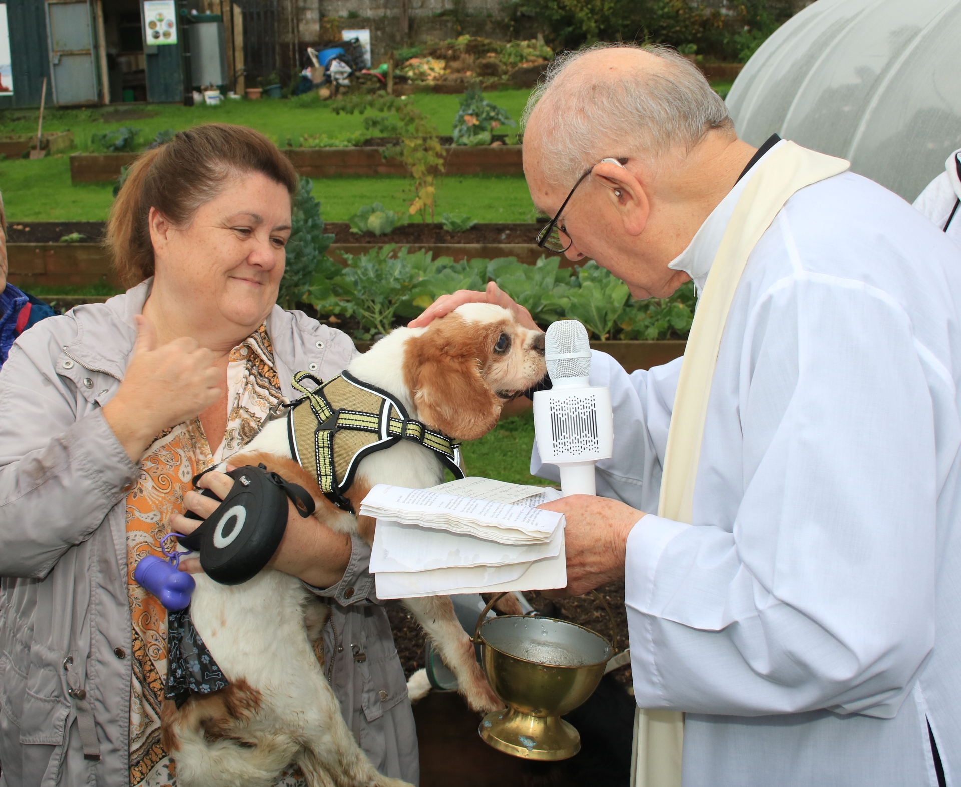 In Pictures: Blessing of the pets event takes place in Limerick parish ...