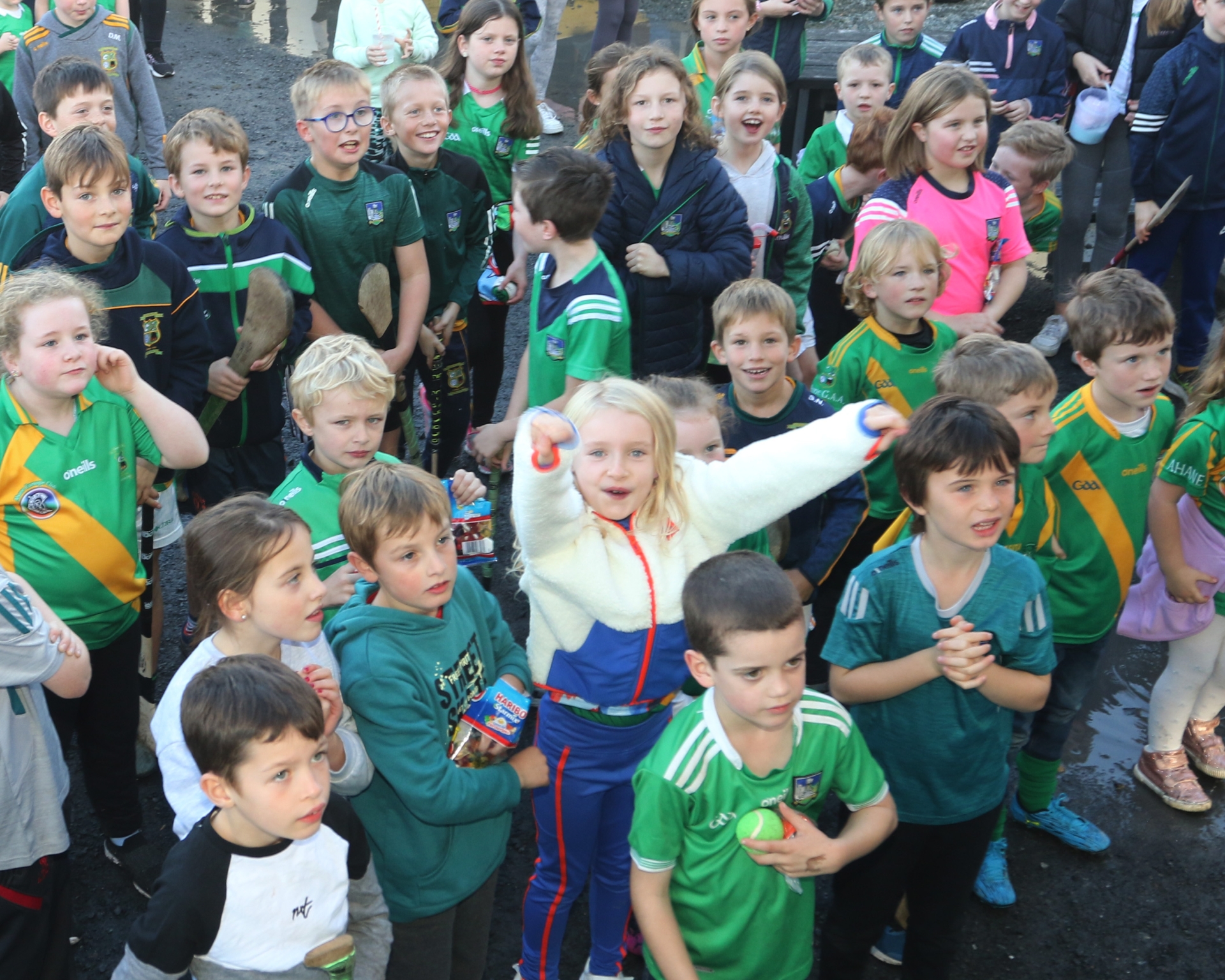 In Pictures: Ahane GAA club honour their Limerick All-Ireland hurling ...