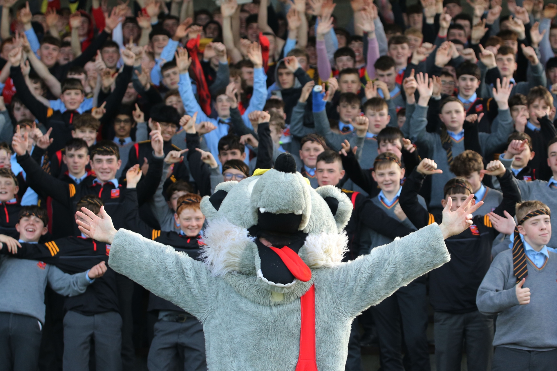 In Pictures: Celebrations as Ardscoil Ris hurlers win Limerick's eighth Dean Ryan Cup title ...
