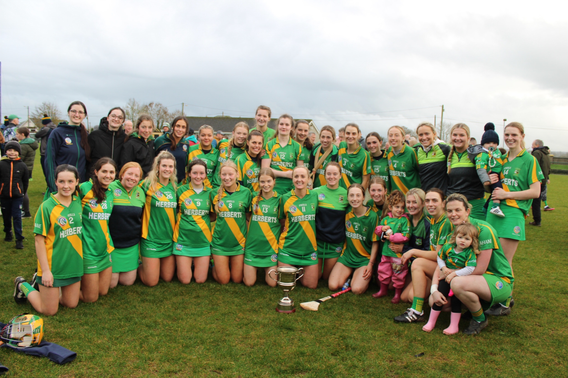 In Pictures: Ahane crowned Limerick senior camogie champions with ...