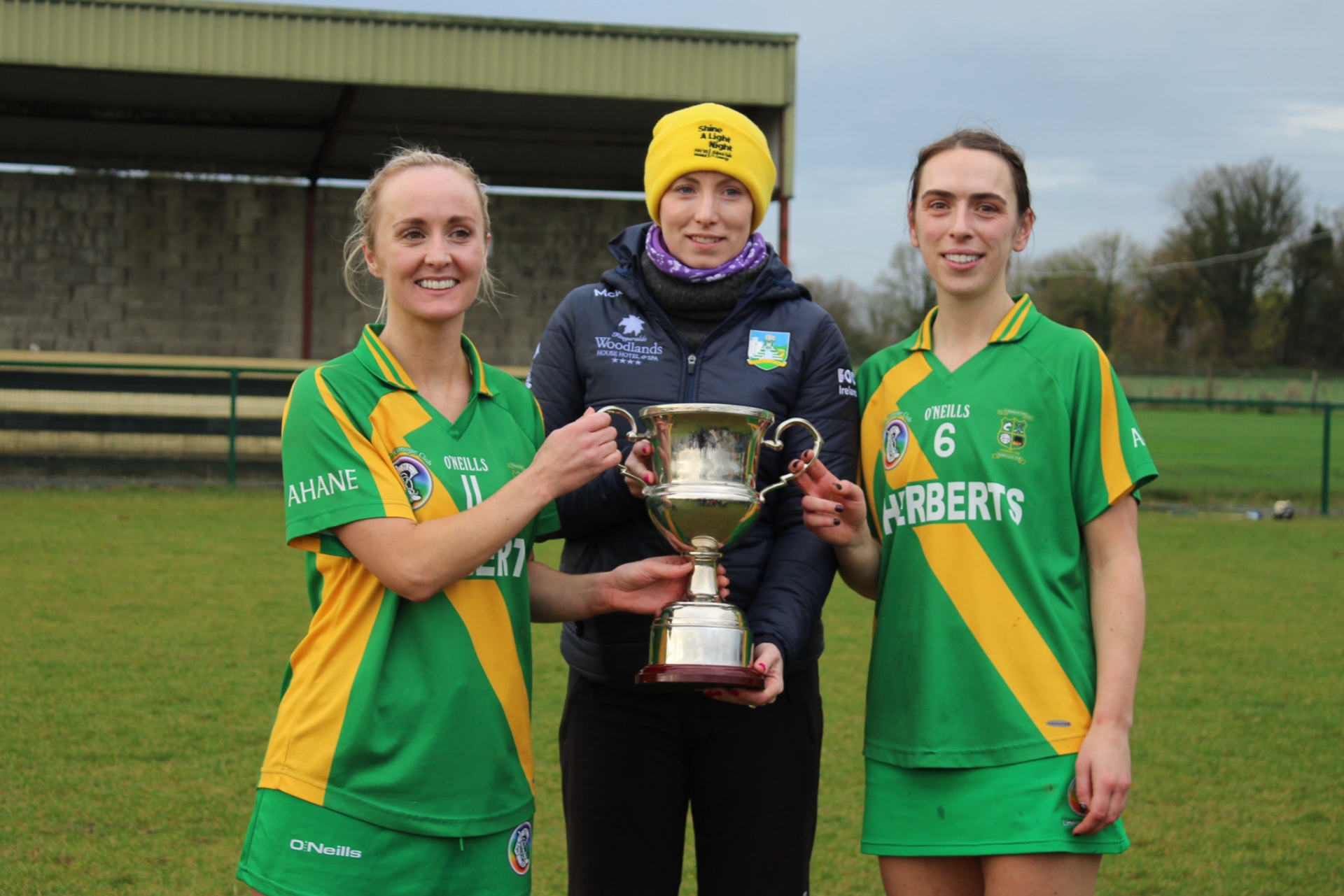 In Pictures: Ahane crowned Limerick senior camogie champions with ...