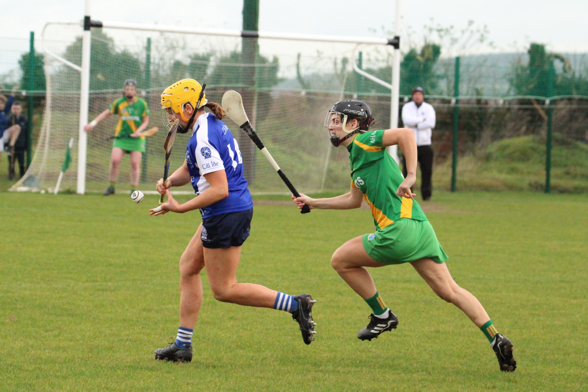In Pictures: Ahane crowned Limerick senior camogie champions with ...