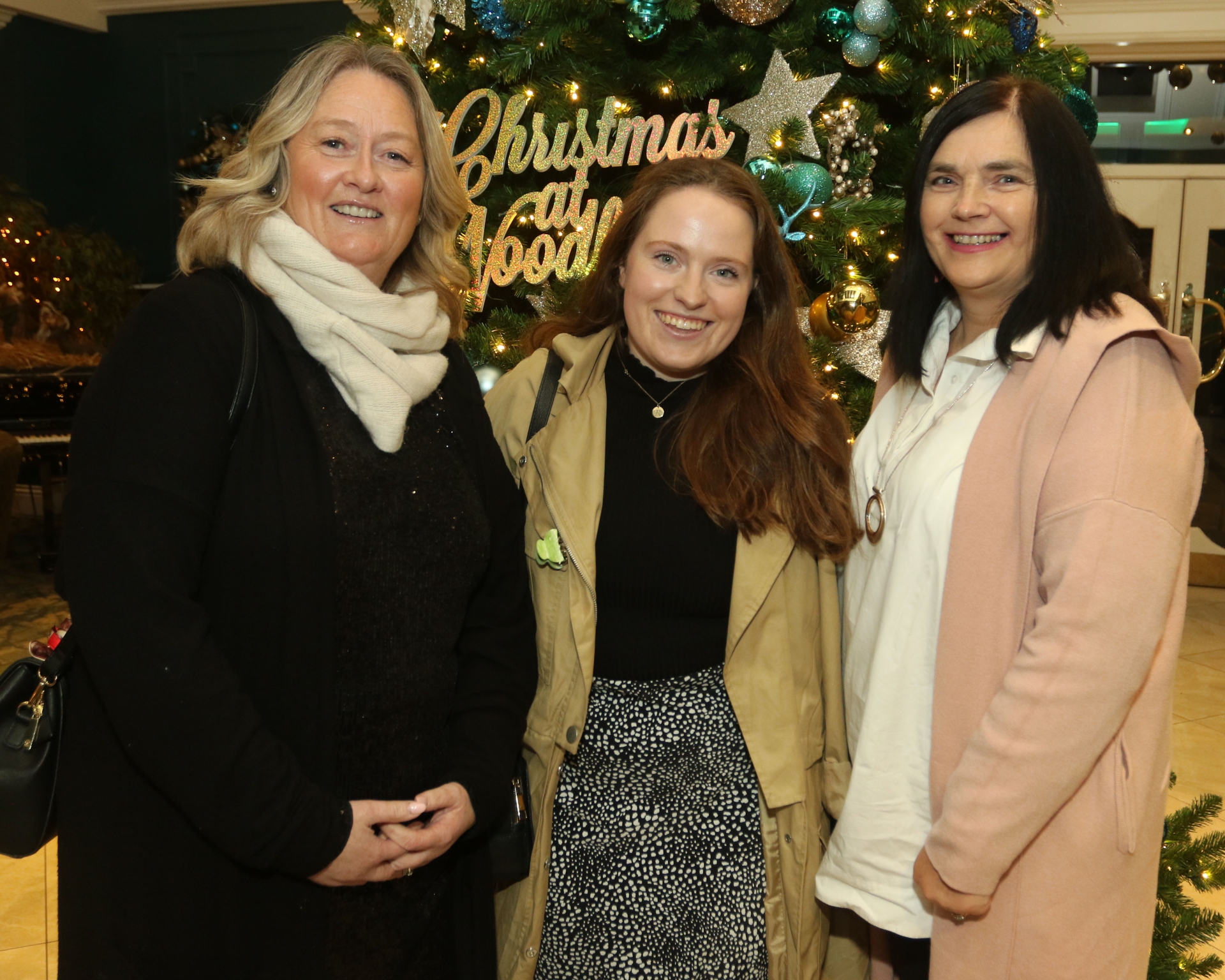 In Pictures: Limerick Childcare Committee Christmas Networking Event ...