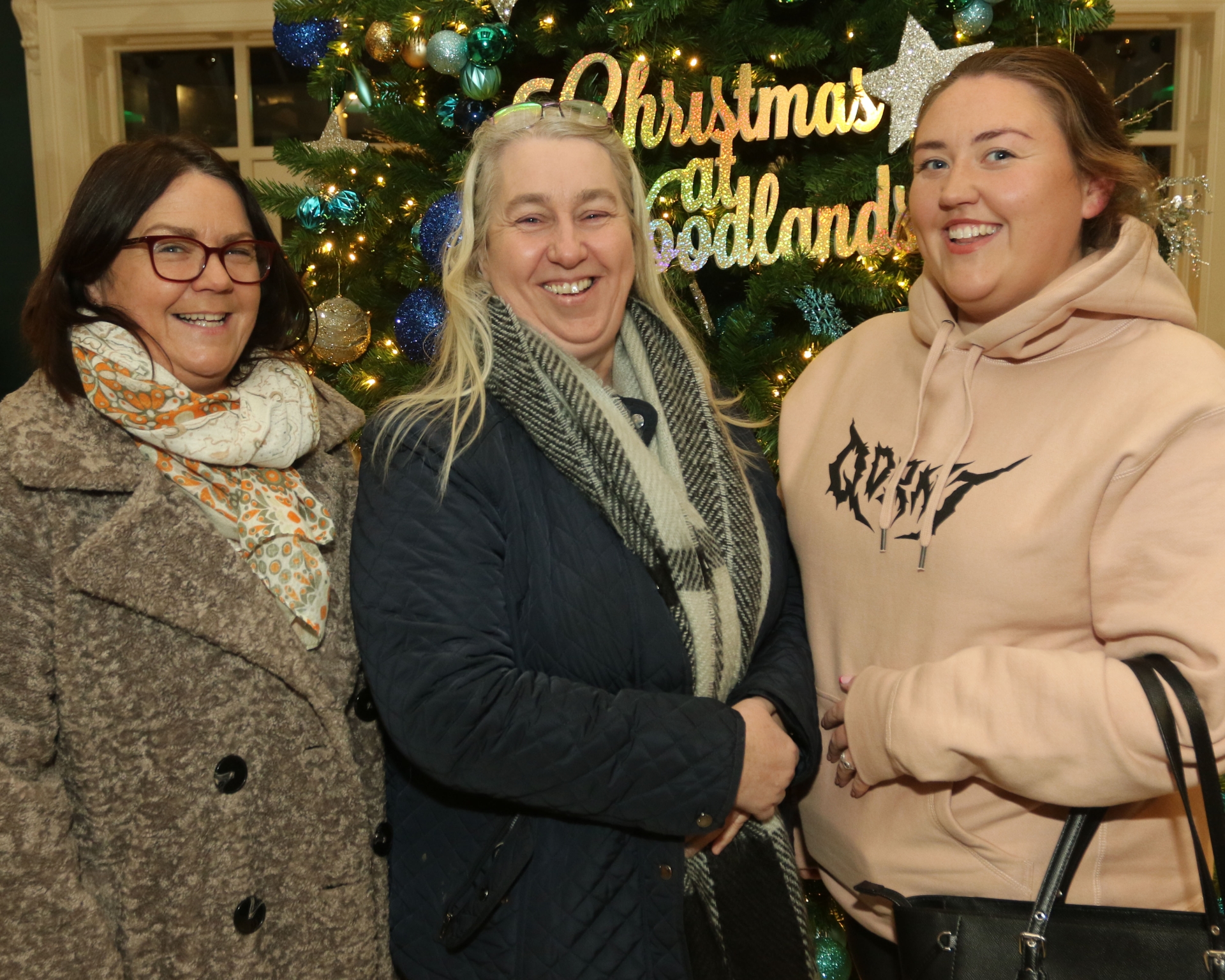 In Pictures: Limerick Childcare Committee Christmas Networking Event ...