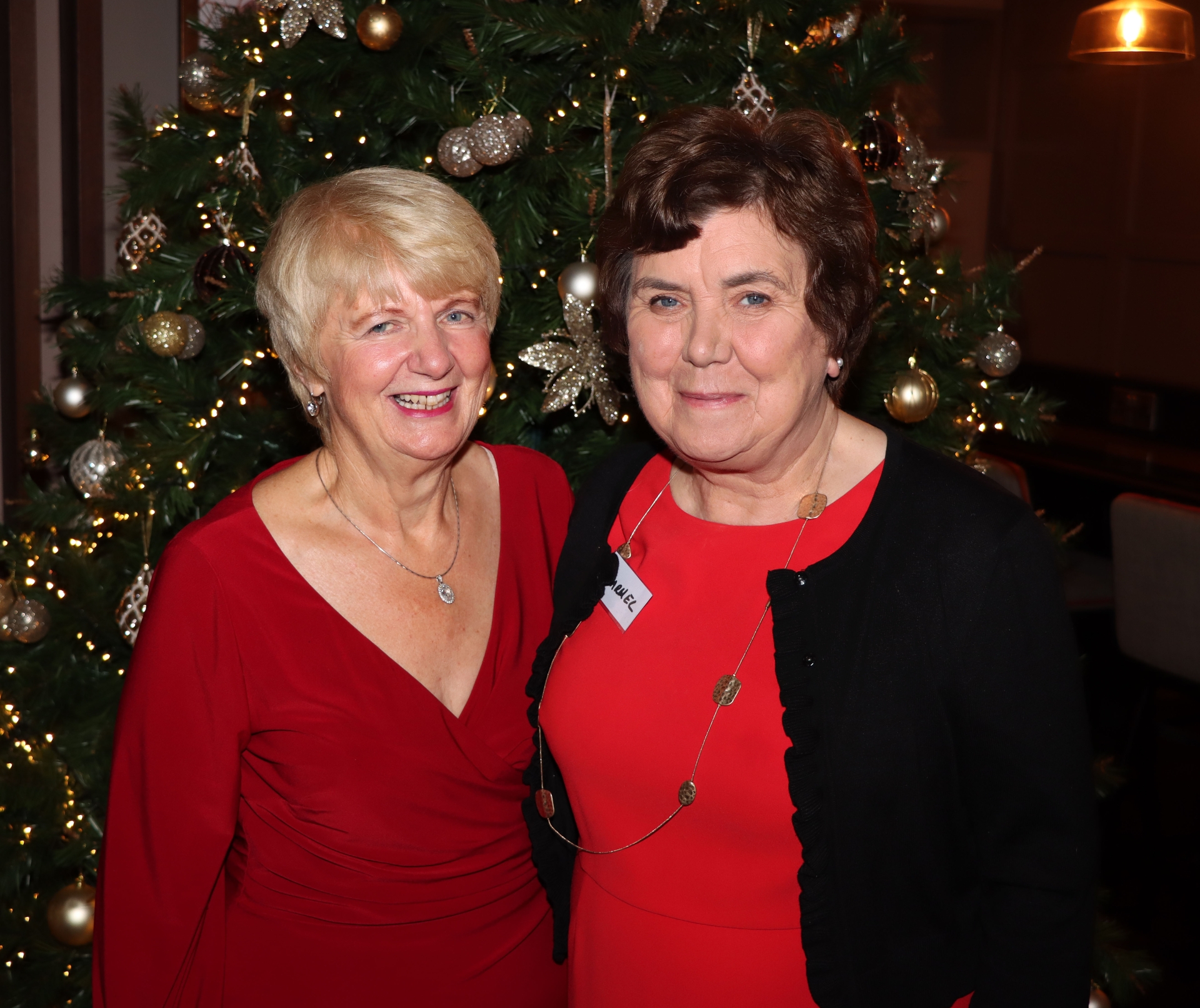 In Pictures: Women Shed Limerick Christmas Party - Page 3 of 12 ...