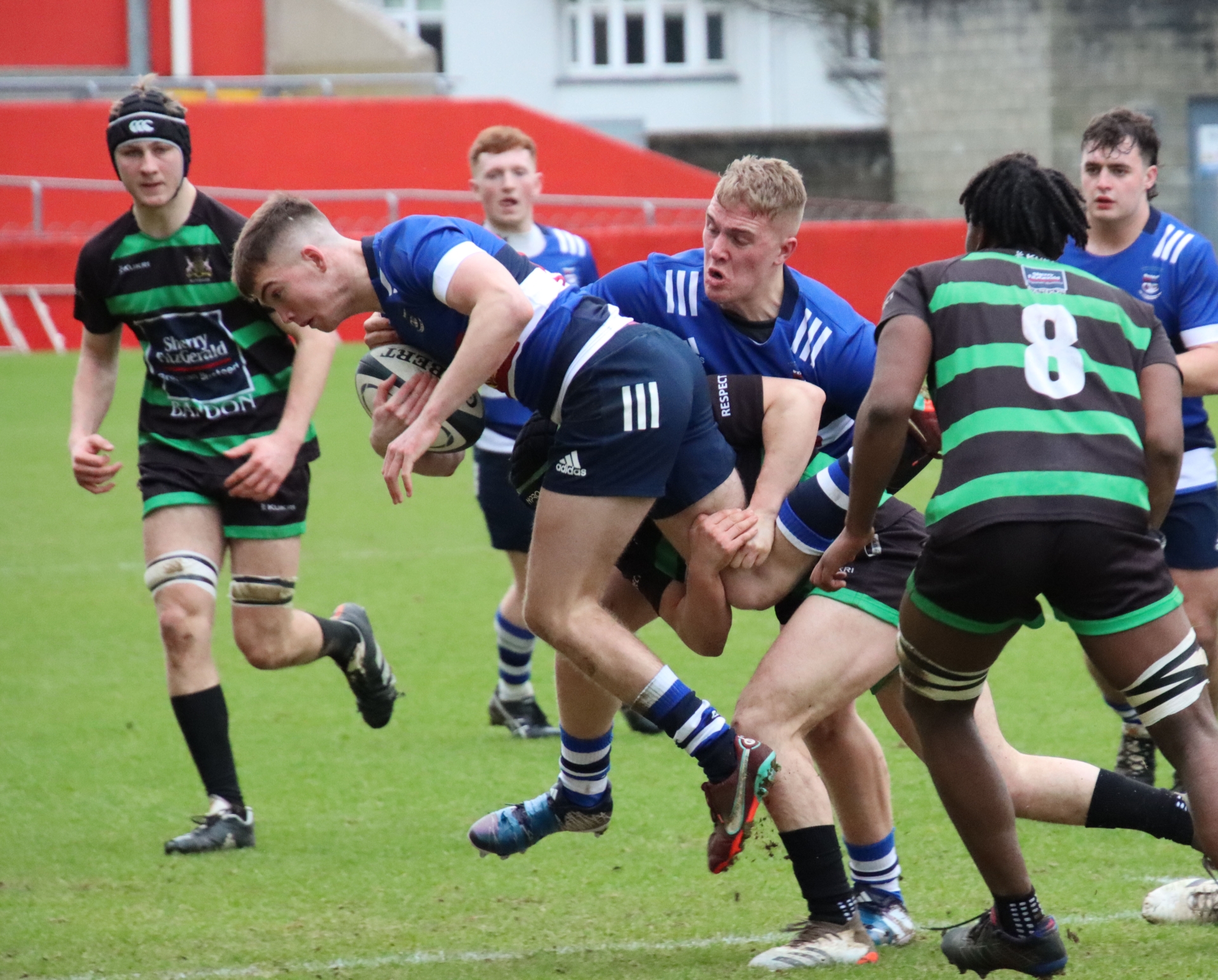 In Pictures: Limerick's Crescent College Comprehensive fans out in ...