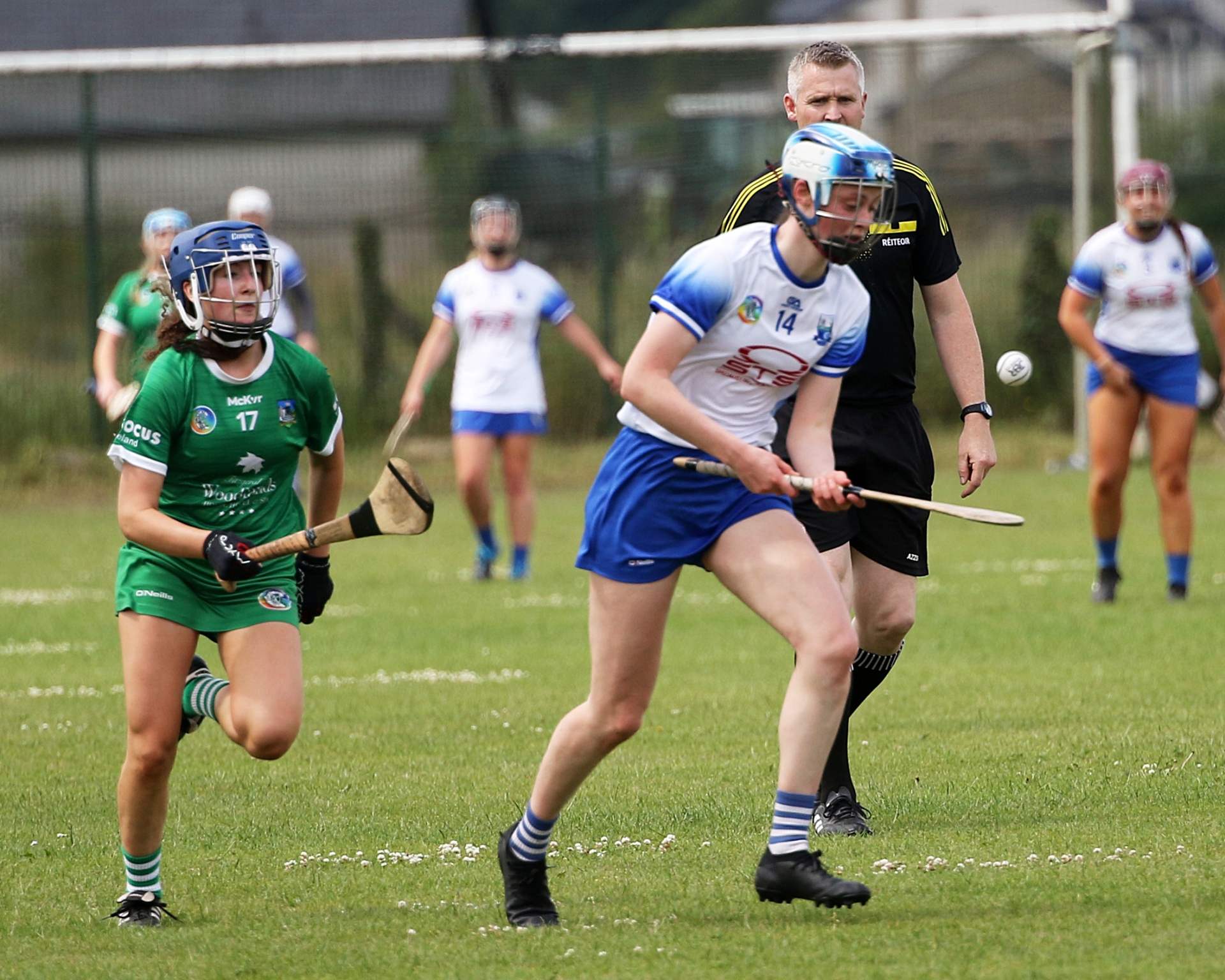 In Pictures: Limerick entertain Waterford in All-Ireland Camogie ...