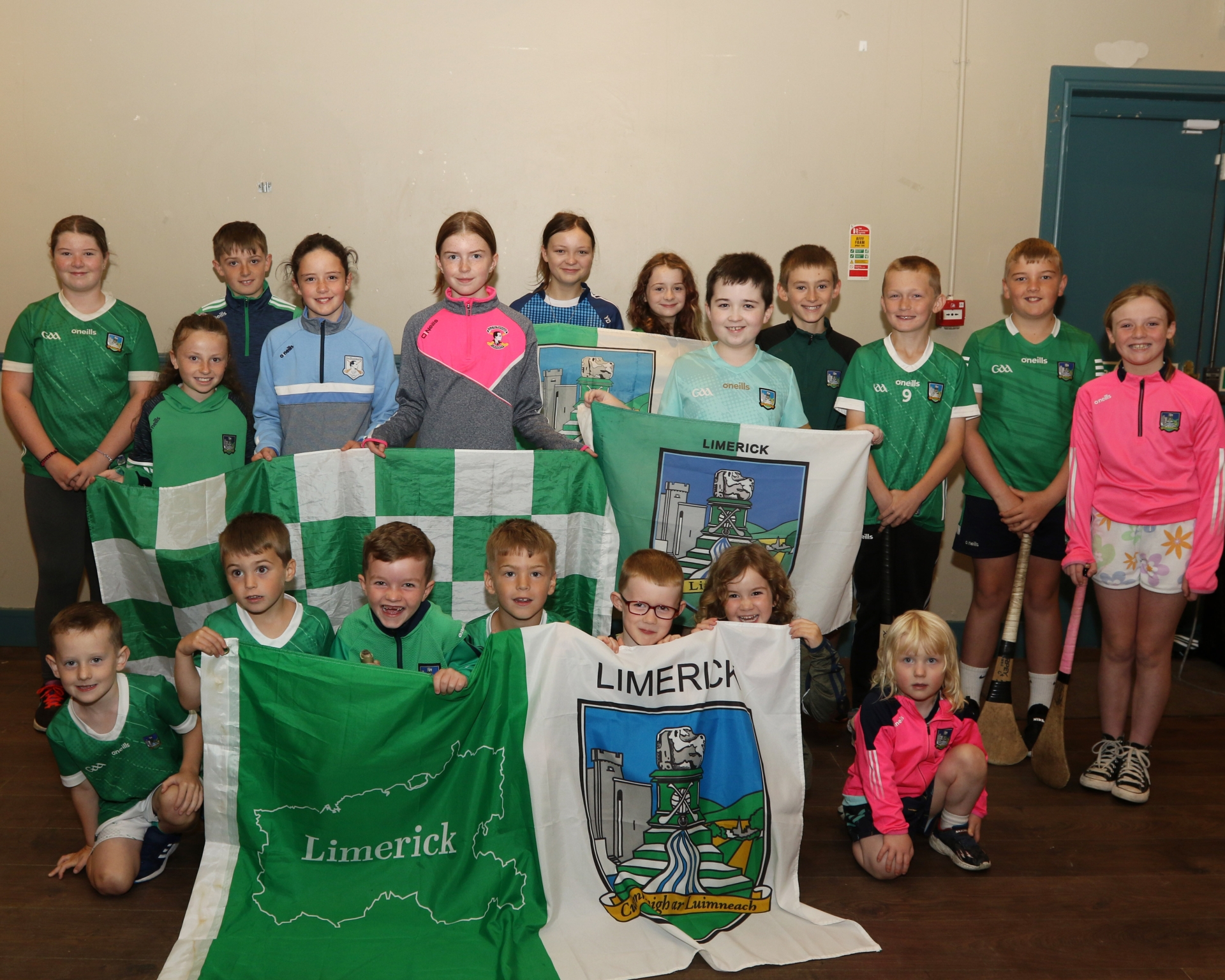 In Pictures: Local Limerick hurling youngsters cheer on boys in green ...
