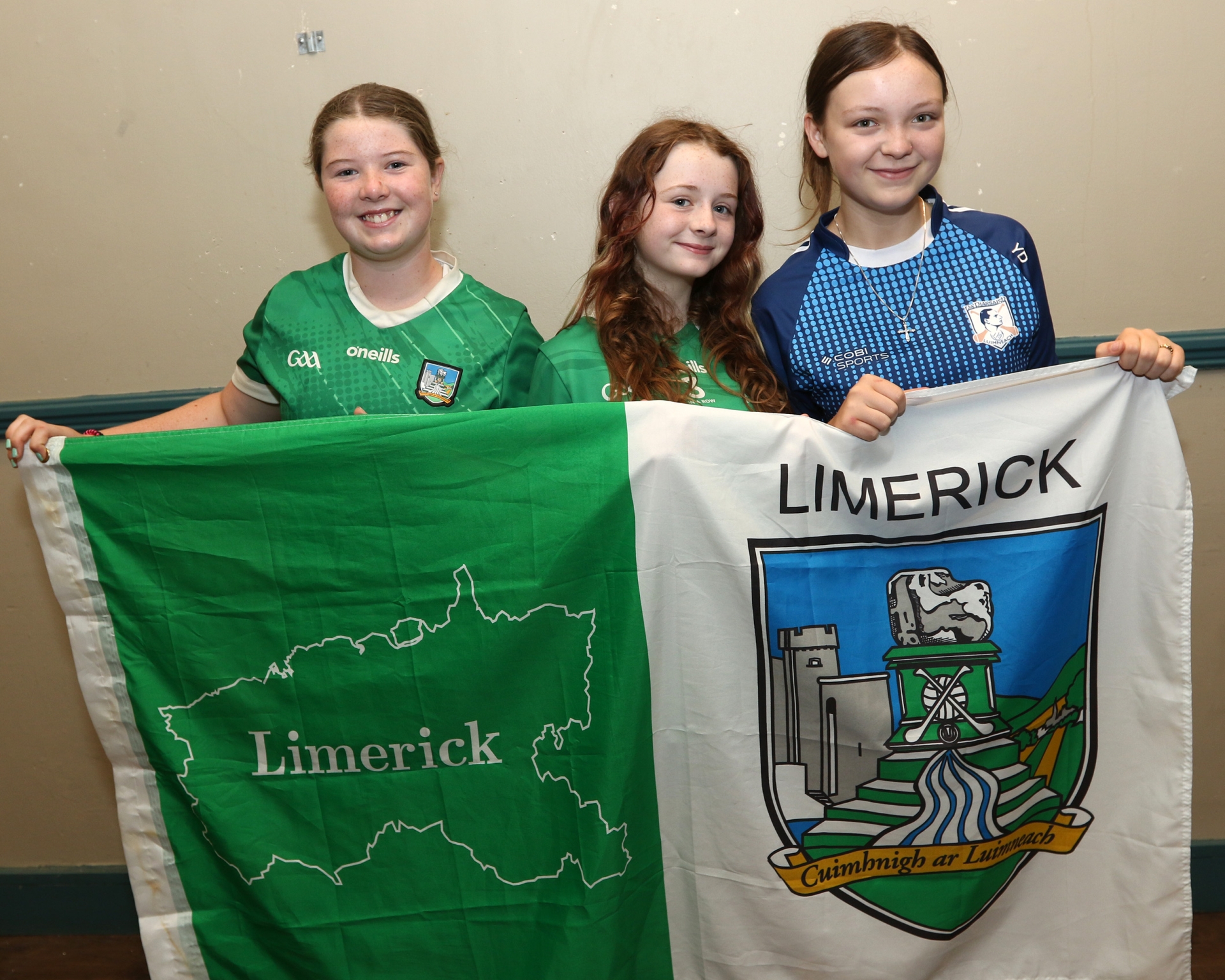 In Pictures: Local Limerick hurling youngsters cheer on boys in green ...