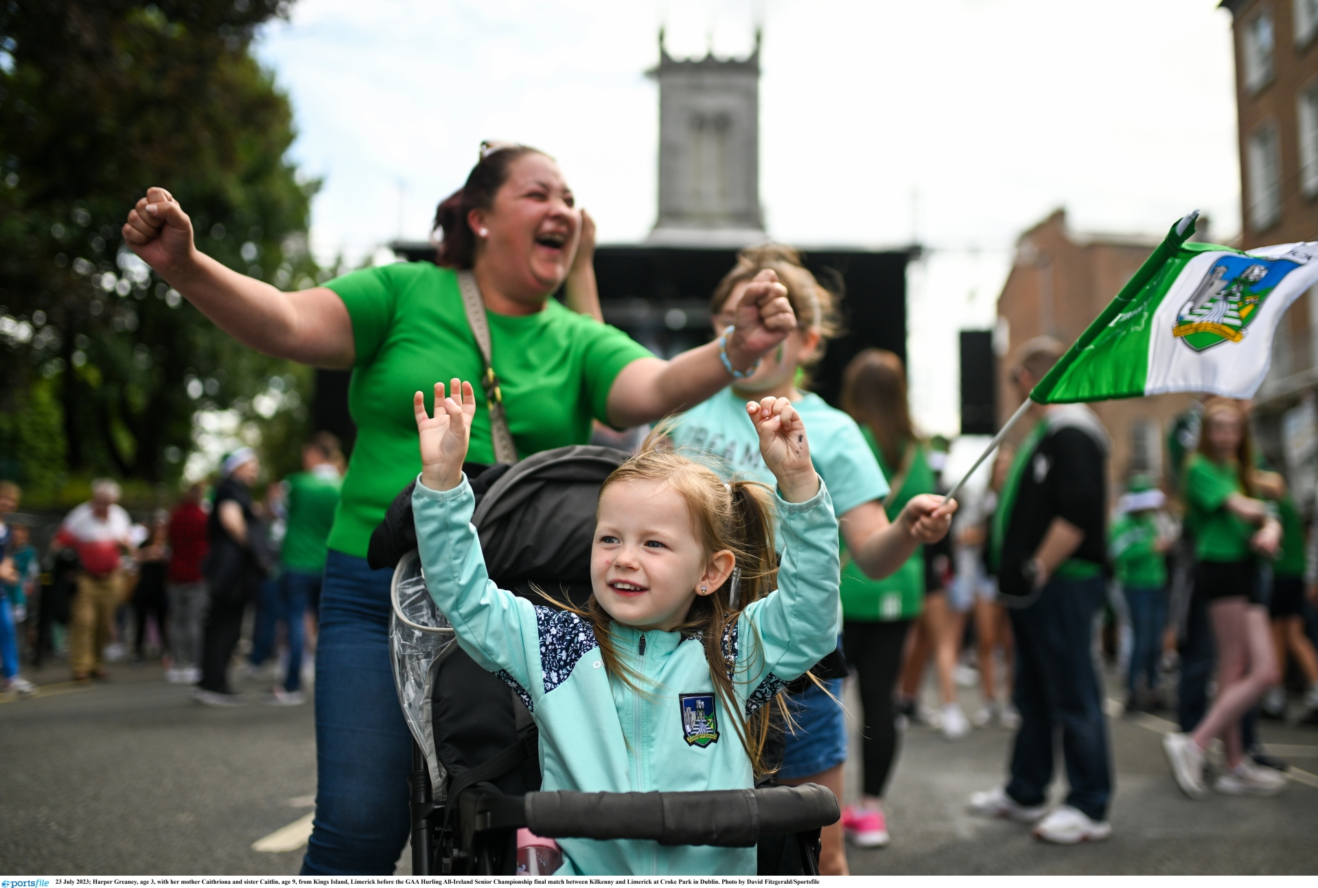 In Pictures: 20 more photos from the Limerick team's jubilant ...